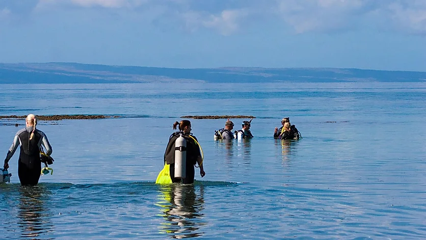 IDC Staff Instructor - International Scuba