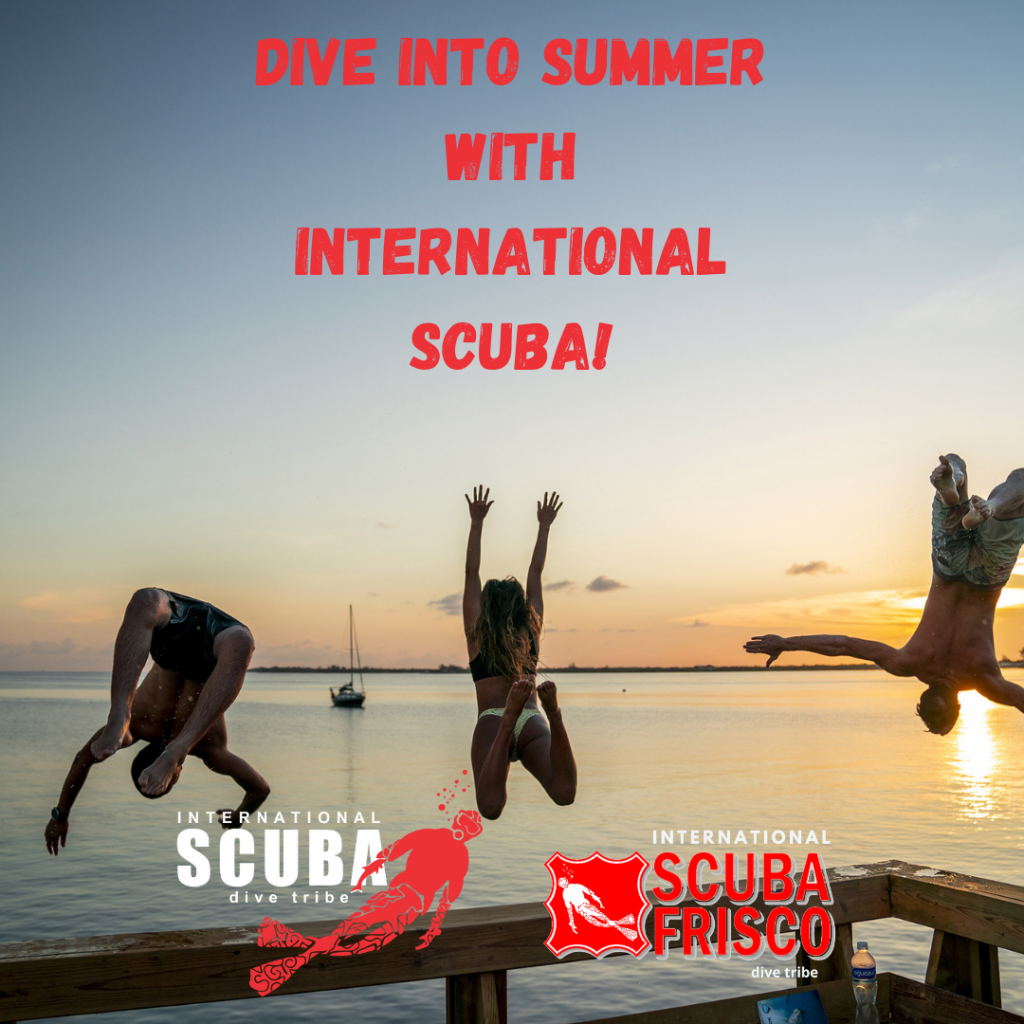ReActivate Scuba Refresher - International Scuba